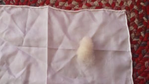 Tutorial: Make a scarf puppet marionette | Noe's Garden Blog