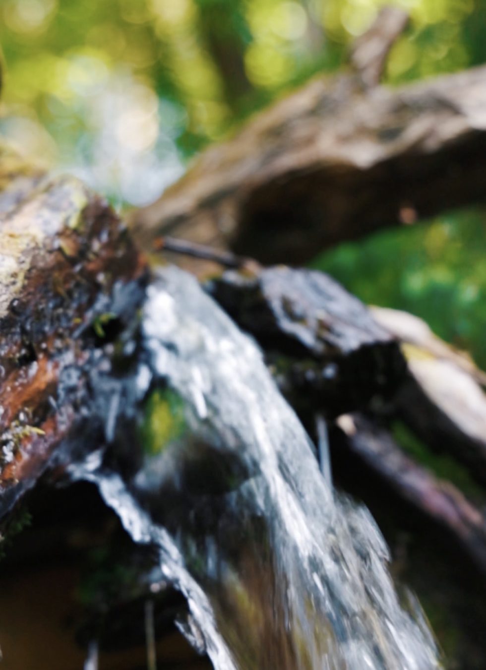 Tend The Well | The inner path to healing - with Noe Venable