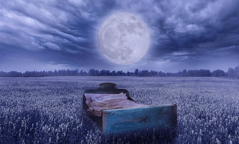 Tend The Well | The inner path to healing - with Noe Venable